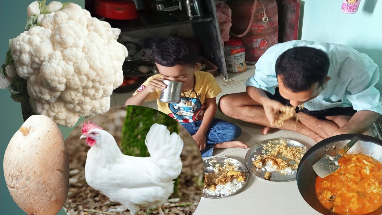 Chicken curry recipe with cauliflower and potato |indian village ...