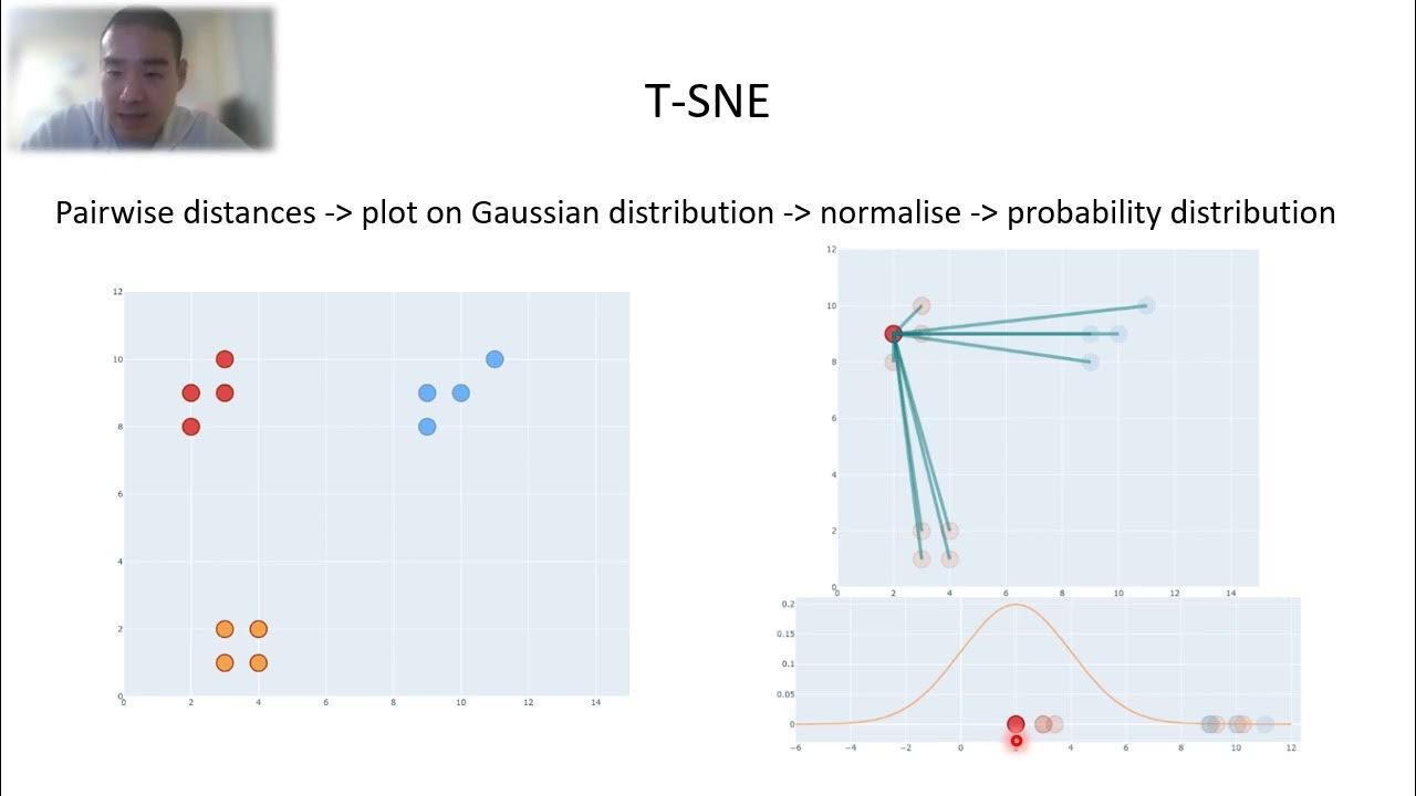 Dimensionality reduction PCA, tSNE, UMAP - YouTube