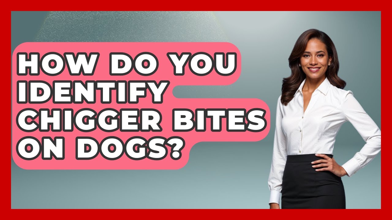 How Do You Identify Chigger Bites On Dogs? - Exploring Campgrounds ...