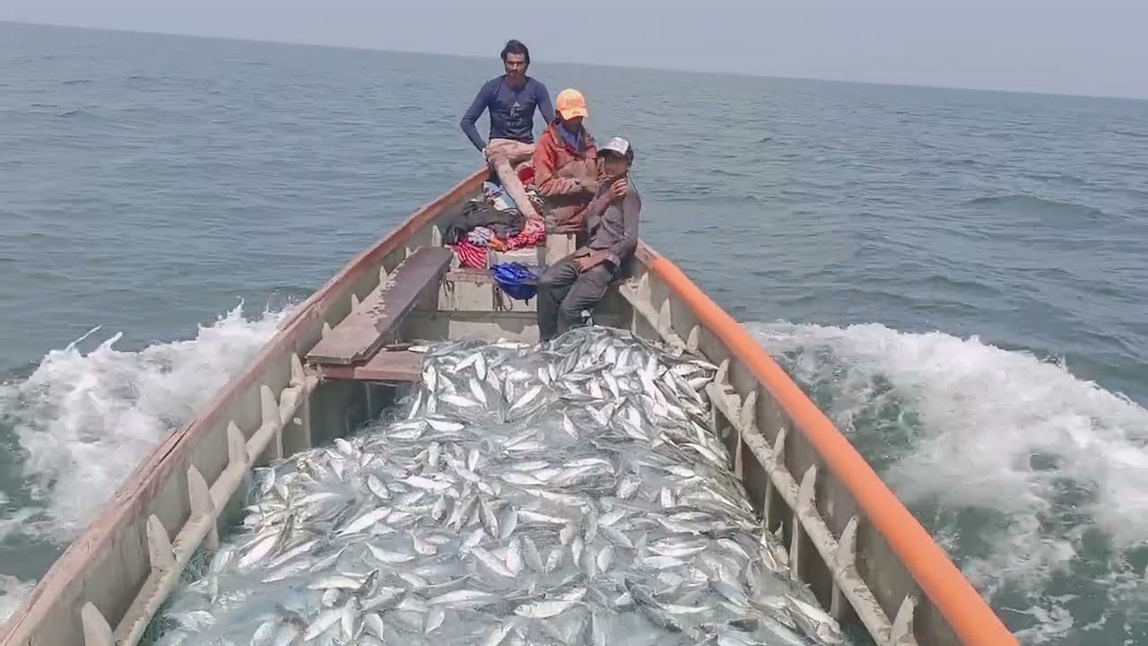Net Fishing videos mangrol bara Fisherman sama daud indian - YouTube