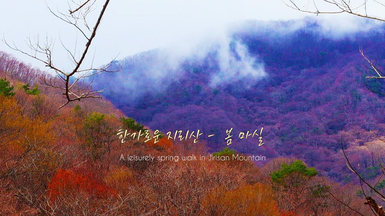 한가로운 지리산의 봄 A leisurely spring walk in Jirisan Mountain 부드러운 봄바람과 함께하는 ...