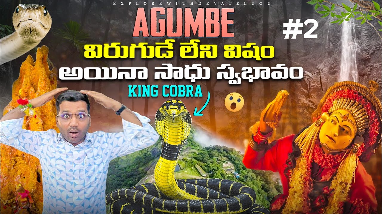 Agumbe ll Malgudi Stories ll Bootha kola ll kingdom Of King cobras 🐍ll ...