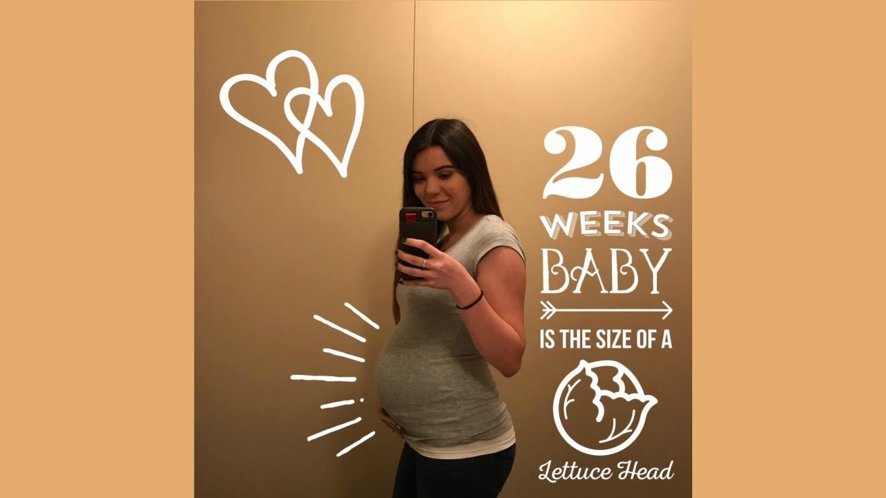 26 WEEK BUMPDATE!: 19 & PREGNANT! - YouTube