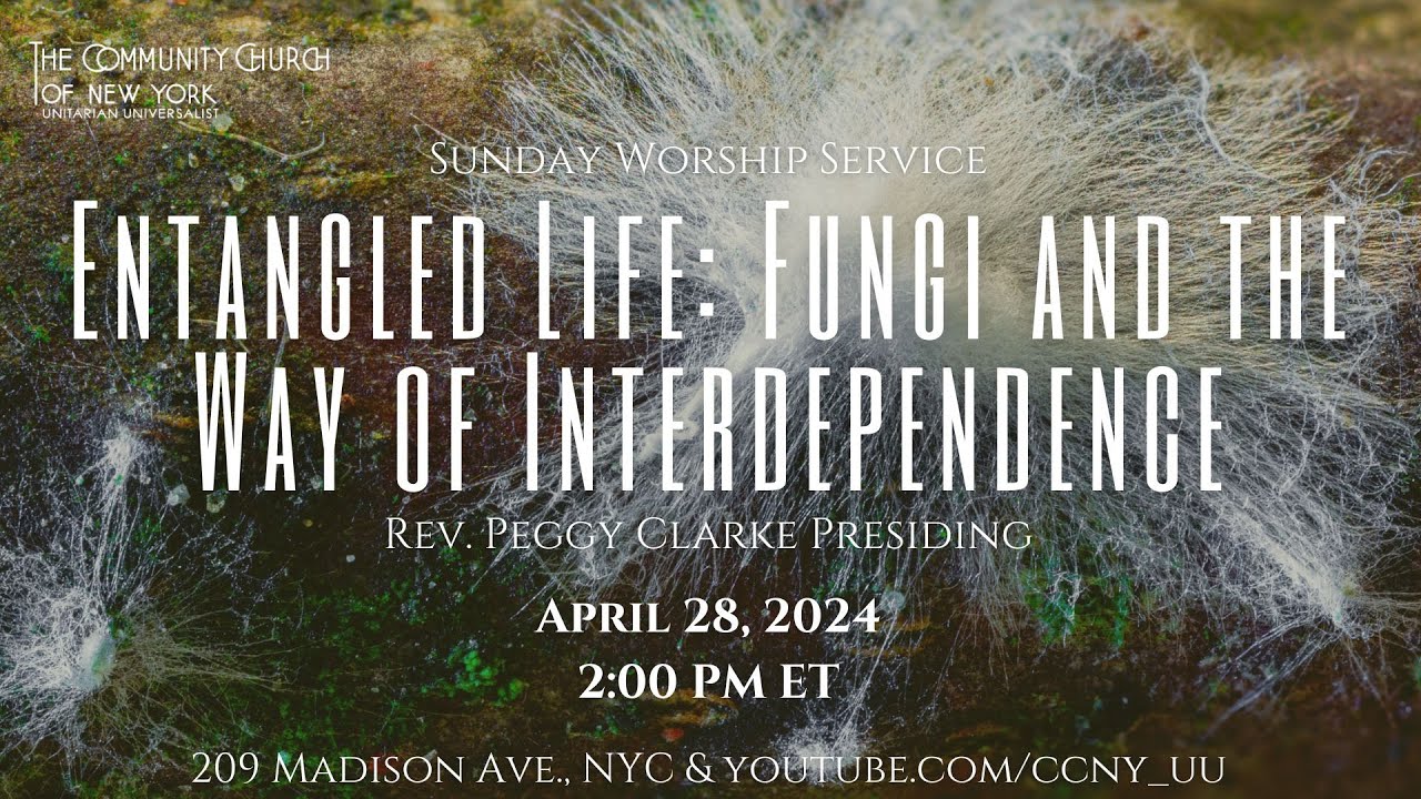 Entangled Life: Fungi and the Way of Interdependence, a Sermon by Rev ...