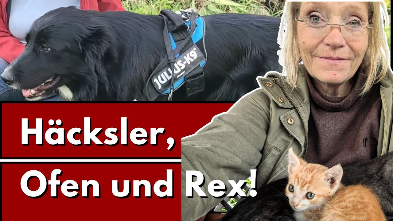 Update und Vorstellung von Rex! - YouTube