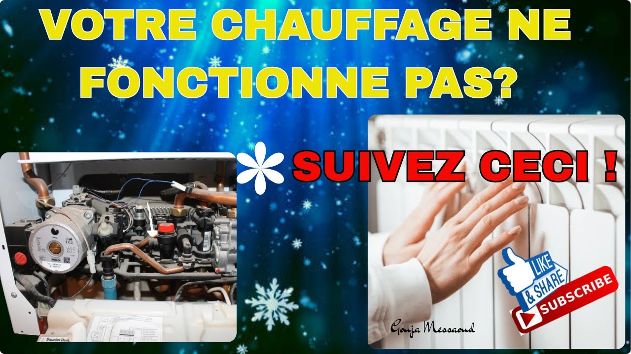 Chauffage Zoe Ne Fonctionne Pas
