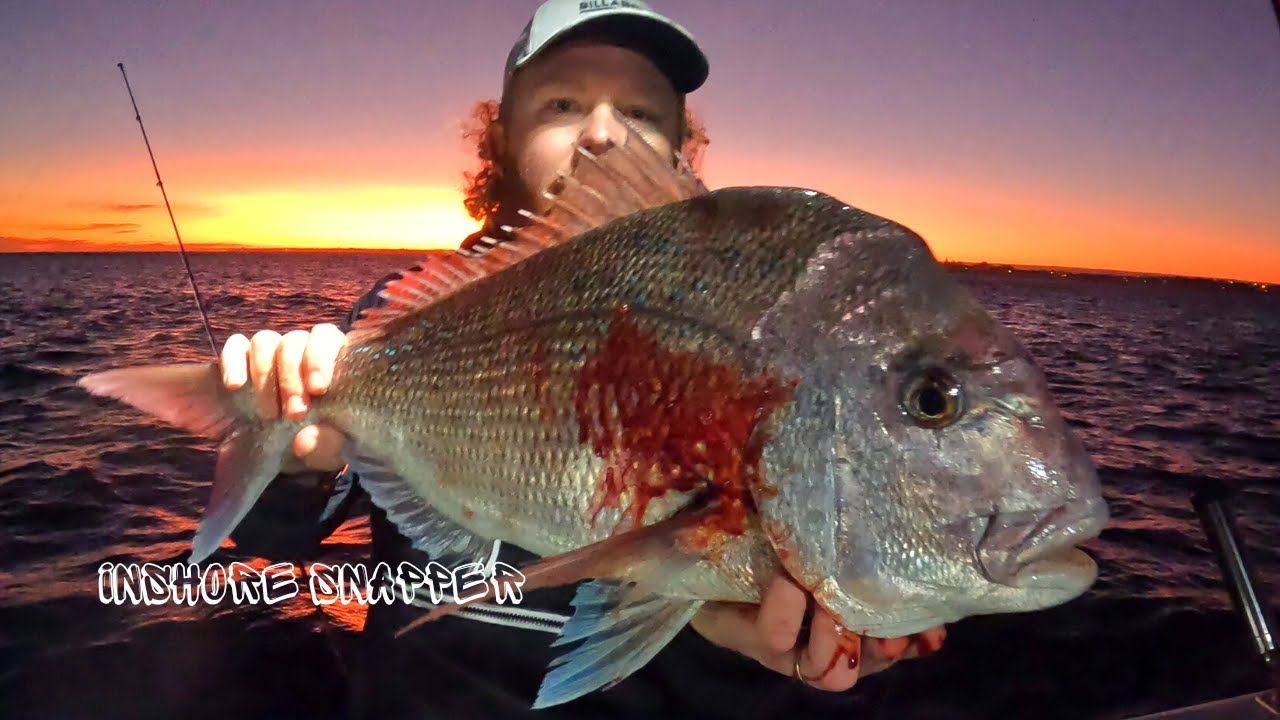Snapper in 8 meters! Inshore fishing on light tackle! - YouTube