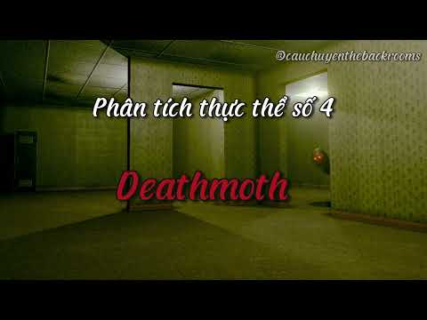 Phân tích thể số 4: Death Moth || The Backrooms - YouTube