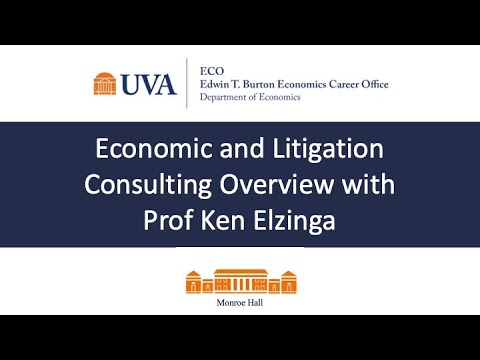 Overview of the Economic Litigation Consulting Field with Professor Ken ...