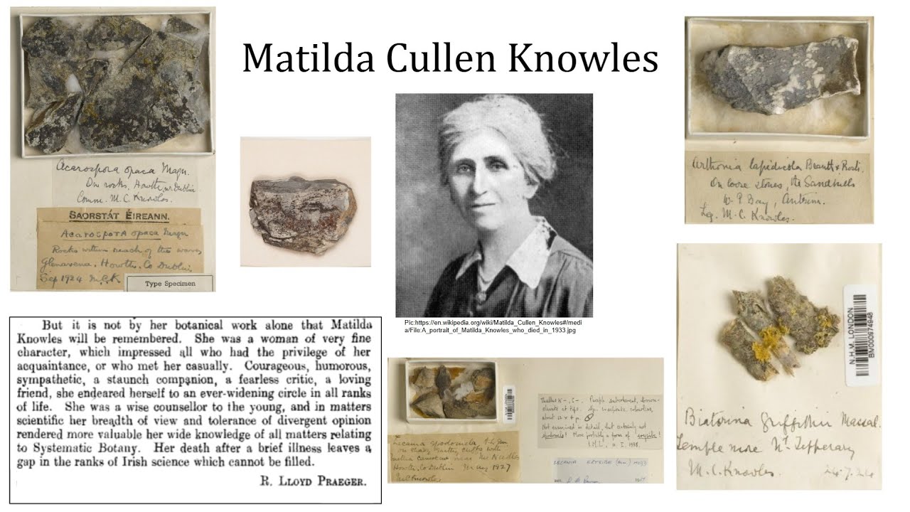 Herbarium Collector Spotlight: Matilda Cullen Knowles - YouTube