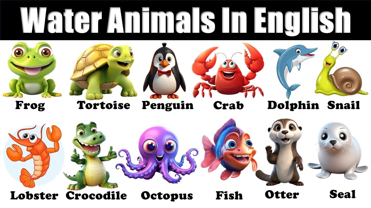 Aquatic Animals Name in English | Water Animals English | Sea Animals ...
