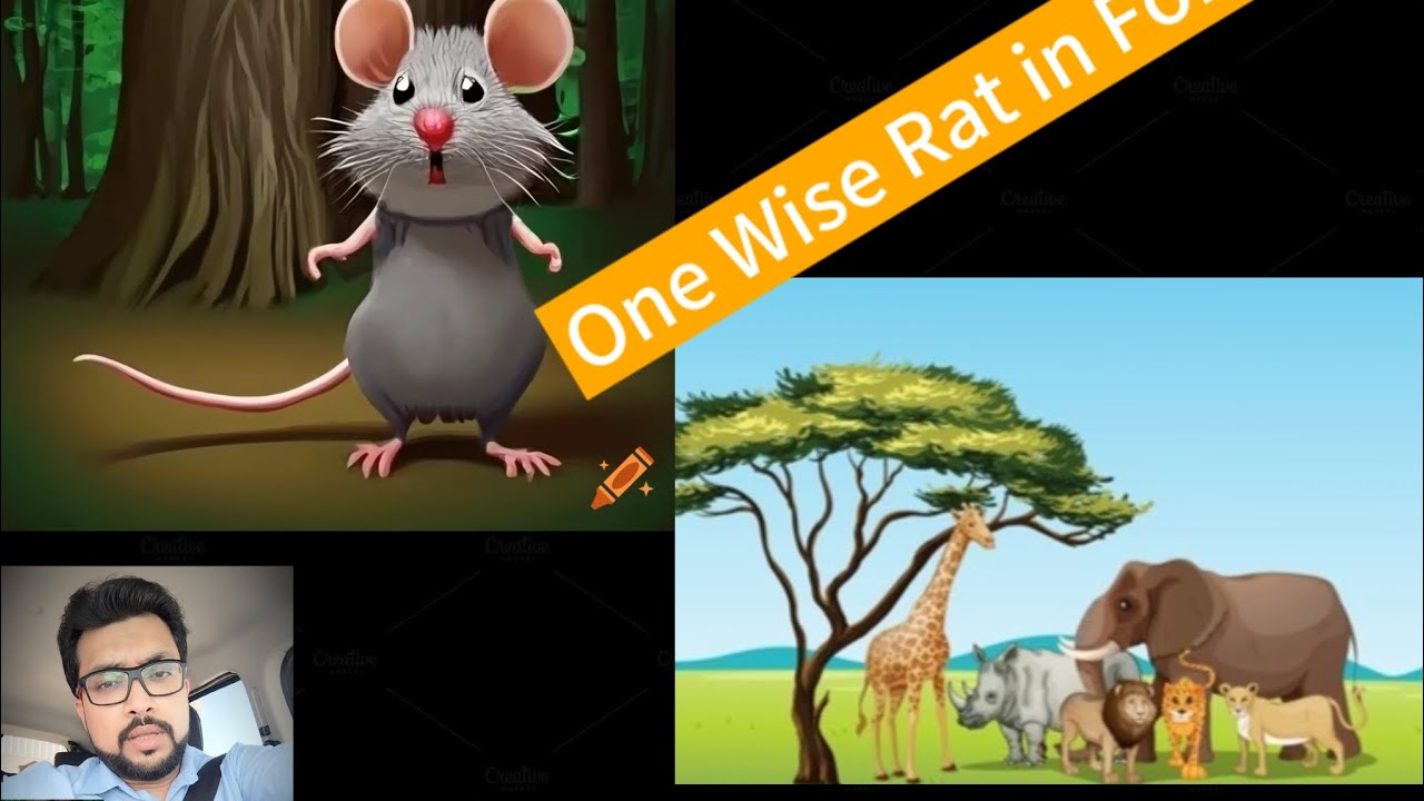 Video 14 | One Wise Rat in Forest | #rat #lion #elephant #nasha #enjoy ...