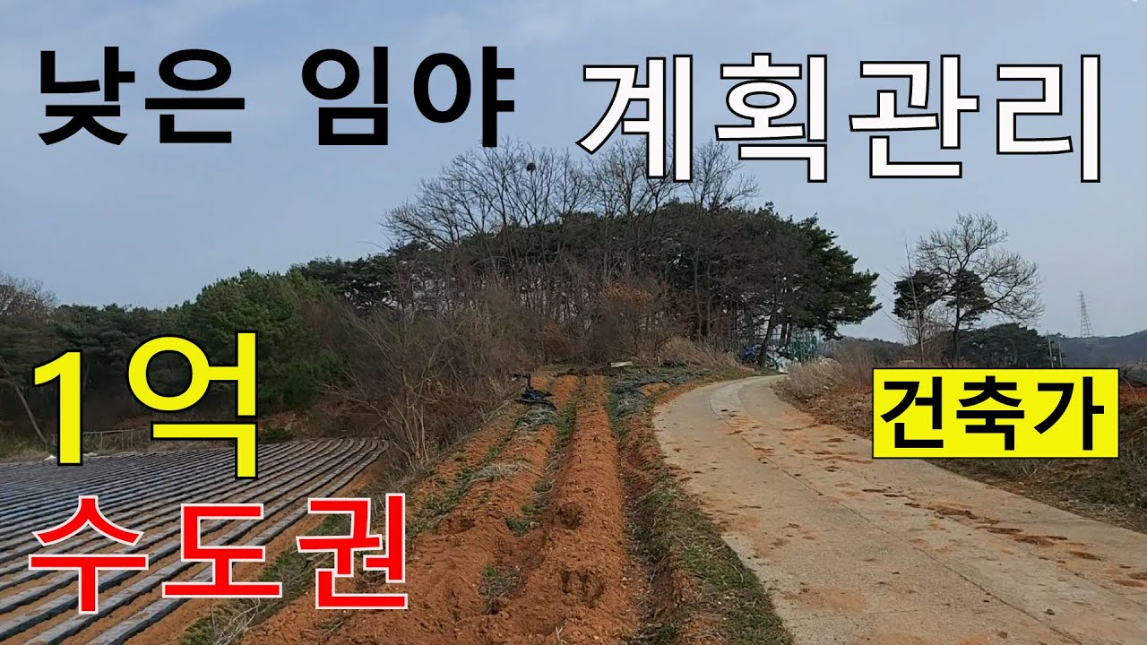 1억 계획관리 낮은 임야 남향 건축가 자연인 전원생활 약용재배 공시가2억8천 시세9억~20억 투자수익 산분장 땅과함께새희망을