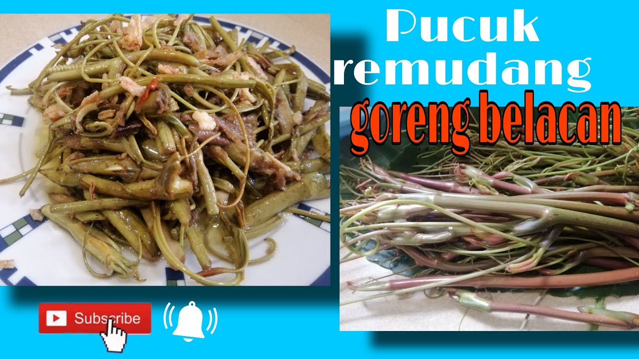 Resepi pucuk remudang// merudang goreng belacan /(Piranggeq) - YouTube