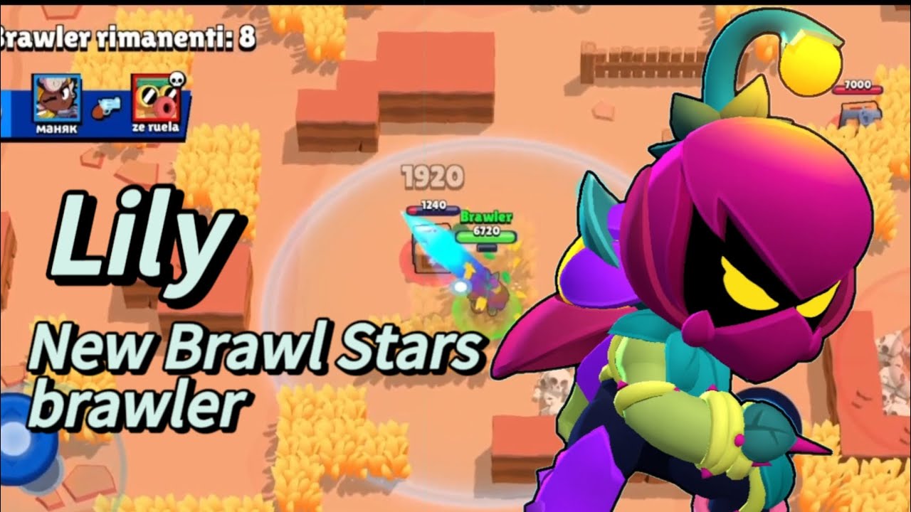 New Lily brawler gameplay (rank 5-10 Power 7)💥 - YouTube