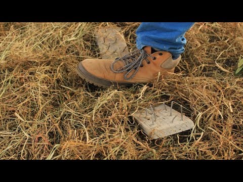 Trampa para ladrones que entren en tu casa| tutorial | Ymx supervivencia