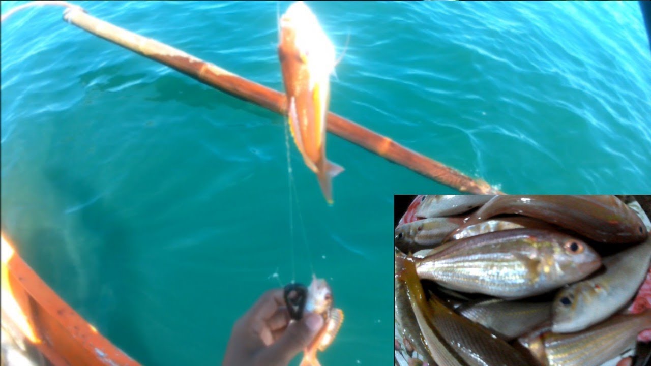 Dayo sa Hagonoy Island para mamingwit ng isdang bisugo surigao del sur ...