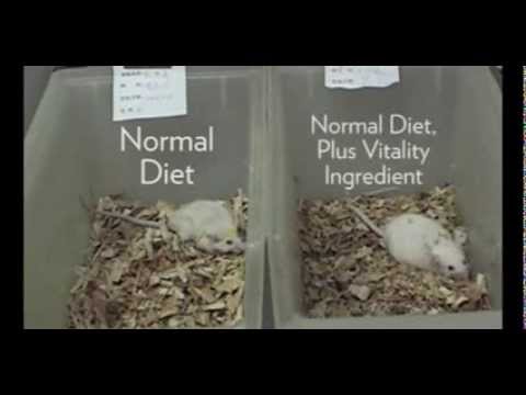 Nu Skin s ageLOC Vitality Mouse Video - YouTube