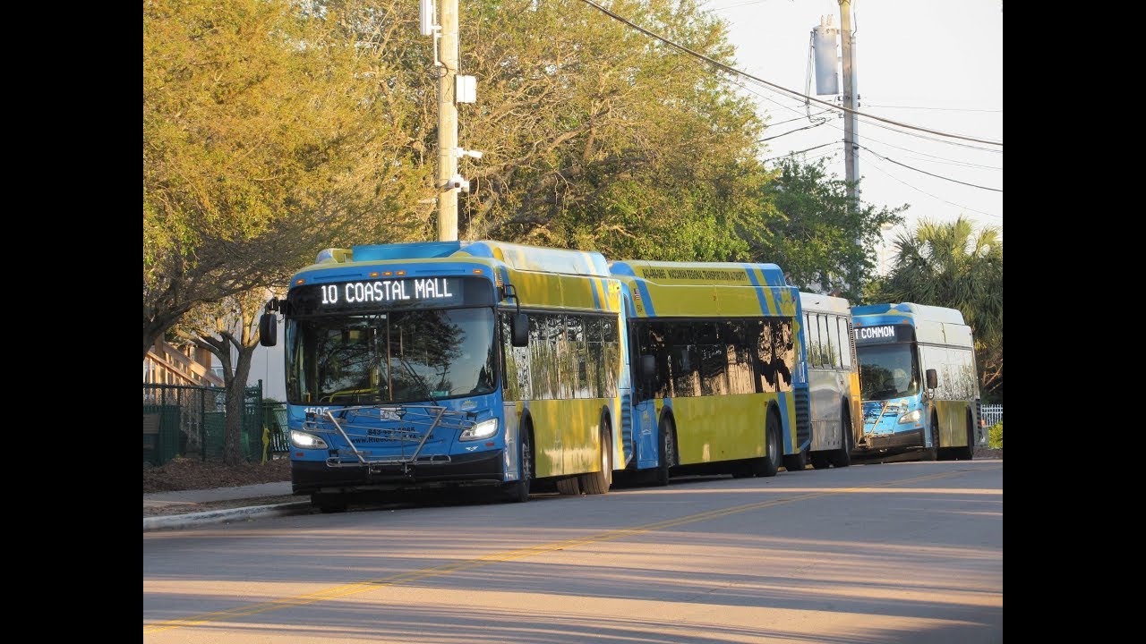 Short Transit Action in Myrtle Beach, SC - YouTube