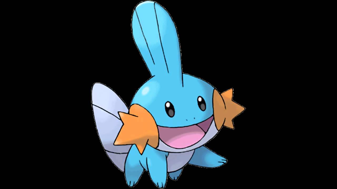 258 Mudkip Cry - YouTube