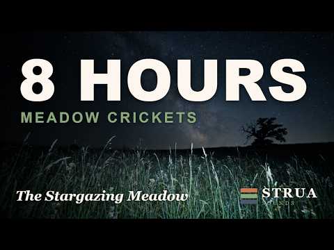 8 Hours Under a Starry Meadow Sky — Sleep Sounds, No Talking | Strua Sounds