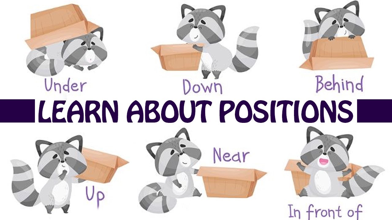 Learn About Positions | உடல் நிலைகள் | Preschool Learning Videos For ...