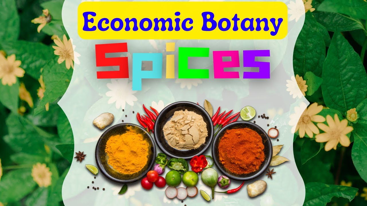 Spices Botany bsc 3rd year Economic Botany Spices | Spices With ...