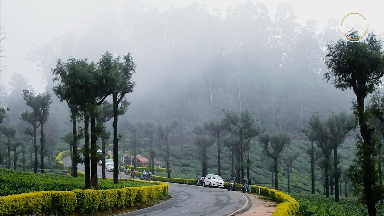 A Rich Blend of Wildlife, Waterfalls, Tea Estates, Hills and Mist ...