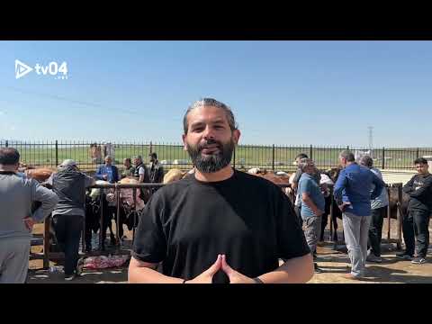 Ağrı’da Kurban Bayramı Heyecanı