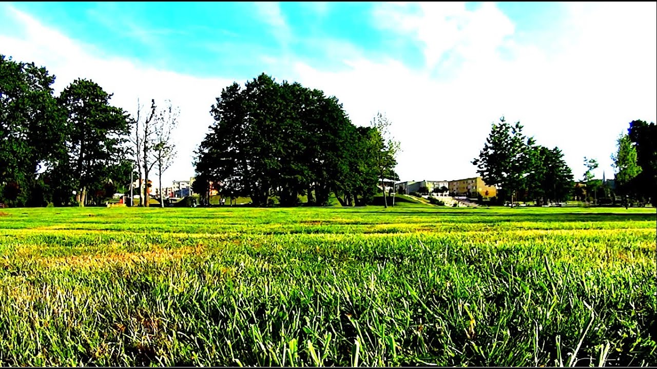 strolling in the park sound effects | park ambience sound effect birds ...