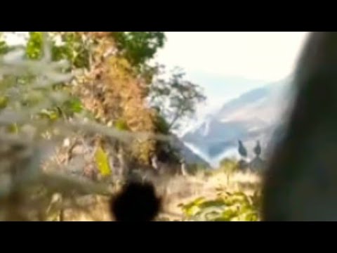 SONBAHAR FIRAT KENARINDA ÇATI (KEKLİK) AVI / Bal_15_ مطاردة الحجل Rebhuhn куропатка Partridge Perdiz