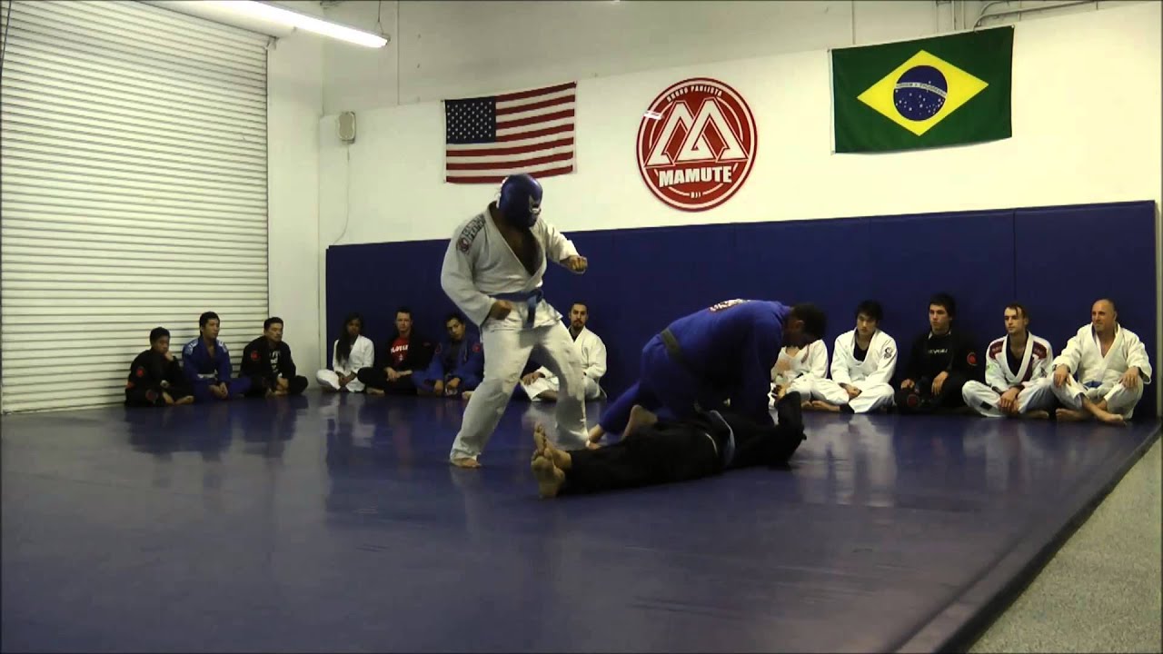 RGOC "Doing the Harlem Shake" - YouTube