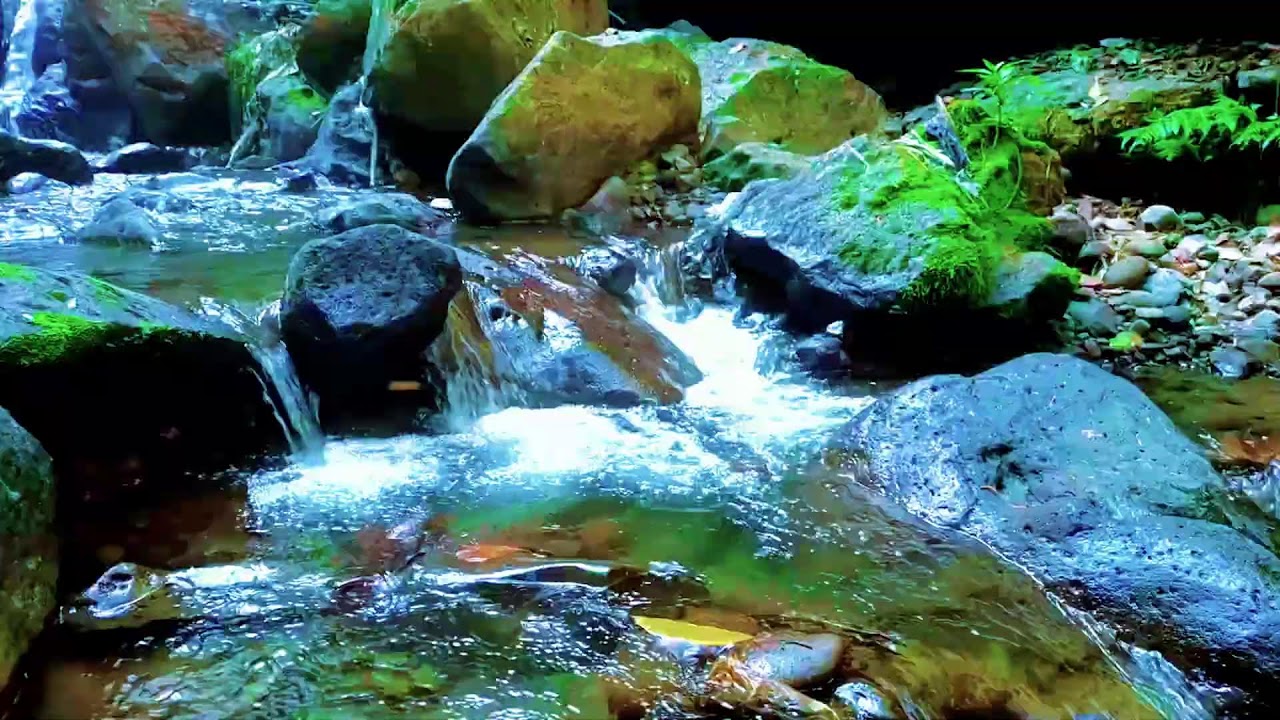 Forest river stream flowing water ambience for deep sleep, calm mind ...