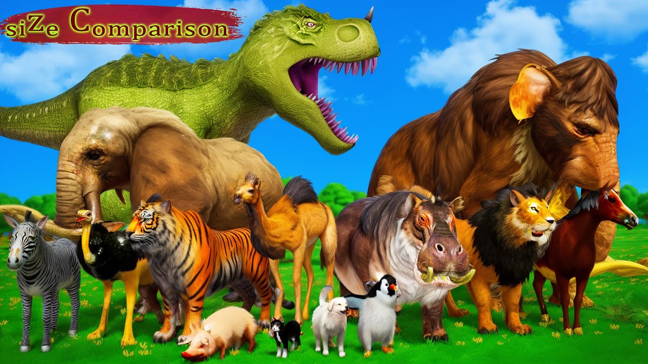 Animal Size Comparison | 3d Animation Comparison | Real Scale ...