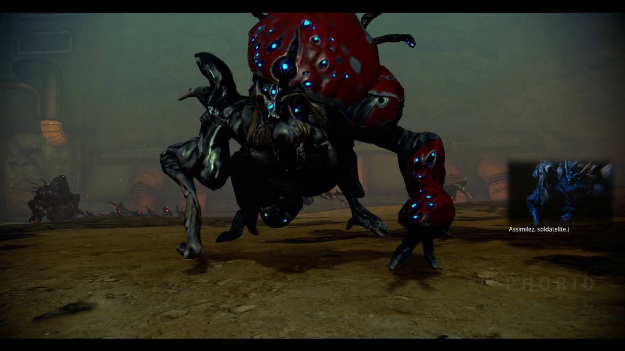 Warframe Phorid [BOSS] [HD] - YouTube
