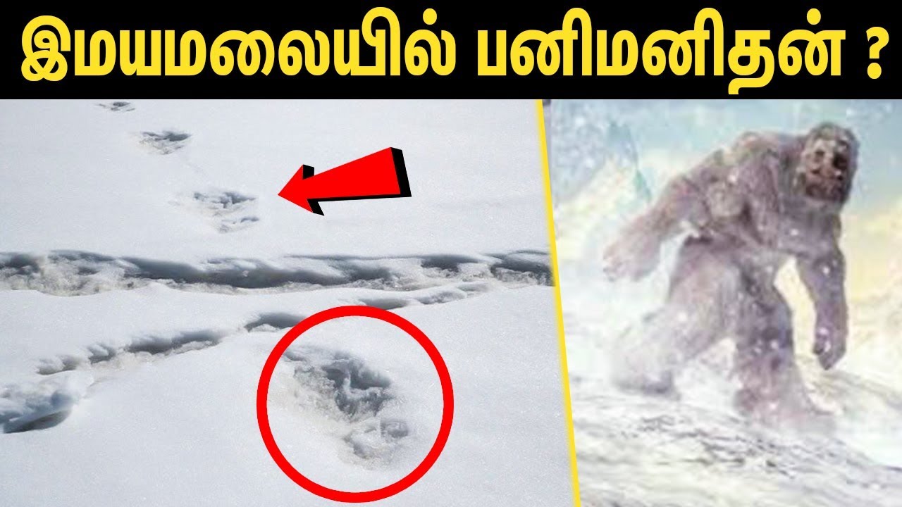 இமயமலையில் பனிமனிதன் ? | Footprints Of mythical Beast 'Yeti' On ...