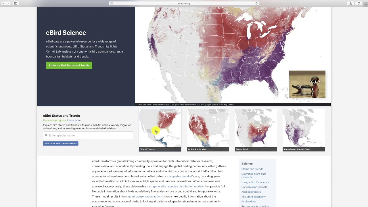 Learning the Ropes of eBird - YouTube