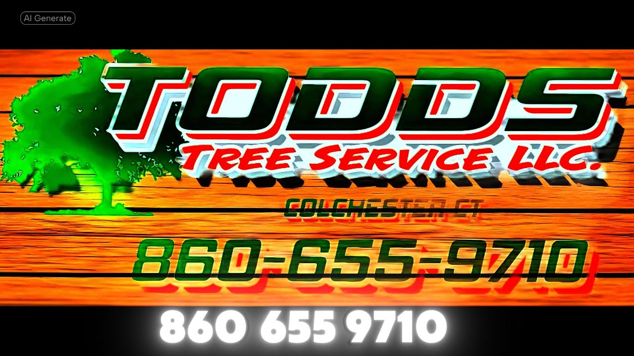 Colchester's Tree Service Professionals | Todd's Tree Service | New ...