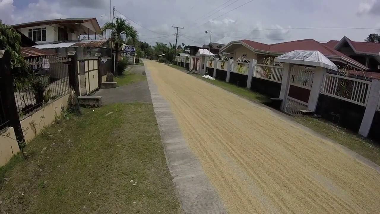 Philippines: Drying the Rice - YouTube