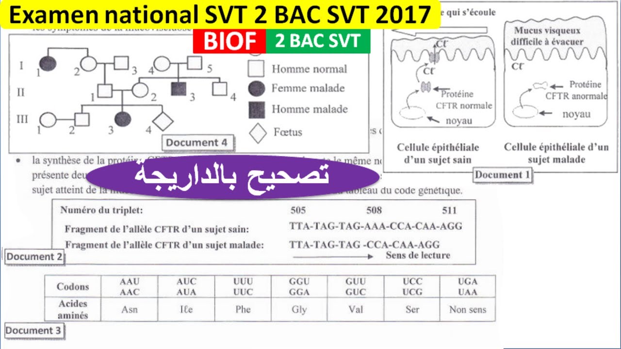 Examen national SVT 2 bac svt 2017 option français - YouTube