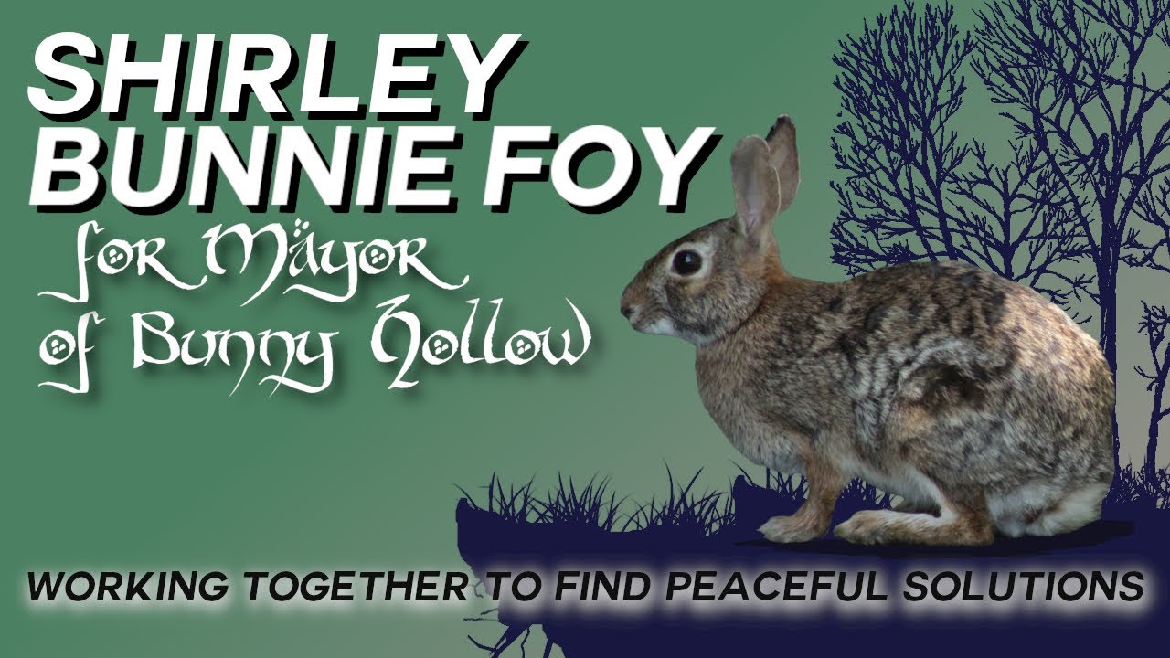 Vote for Shirley Bunnie Foy (2024 Bunny Hollow mayoral campaign!) - YouTube
