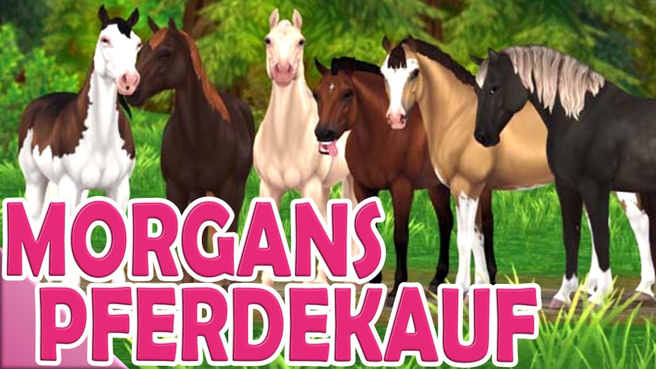Das neue Morgan Horse - PFERDEKAUF 🐴 Star Stable Online mit Kaddi - YouTube