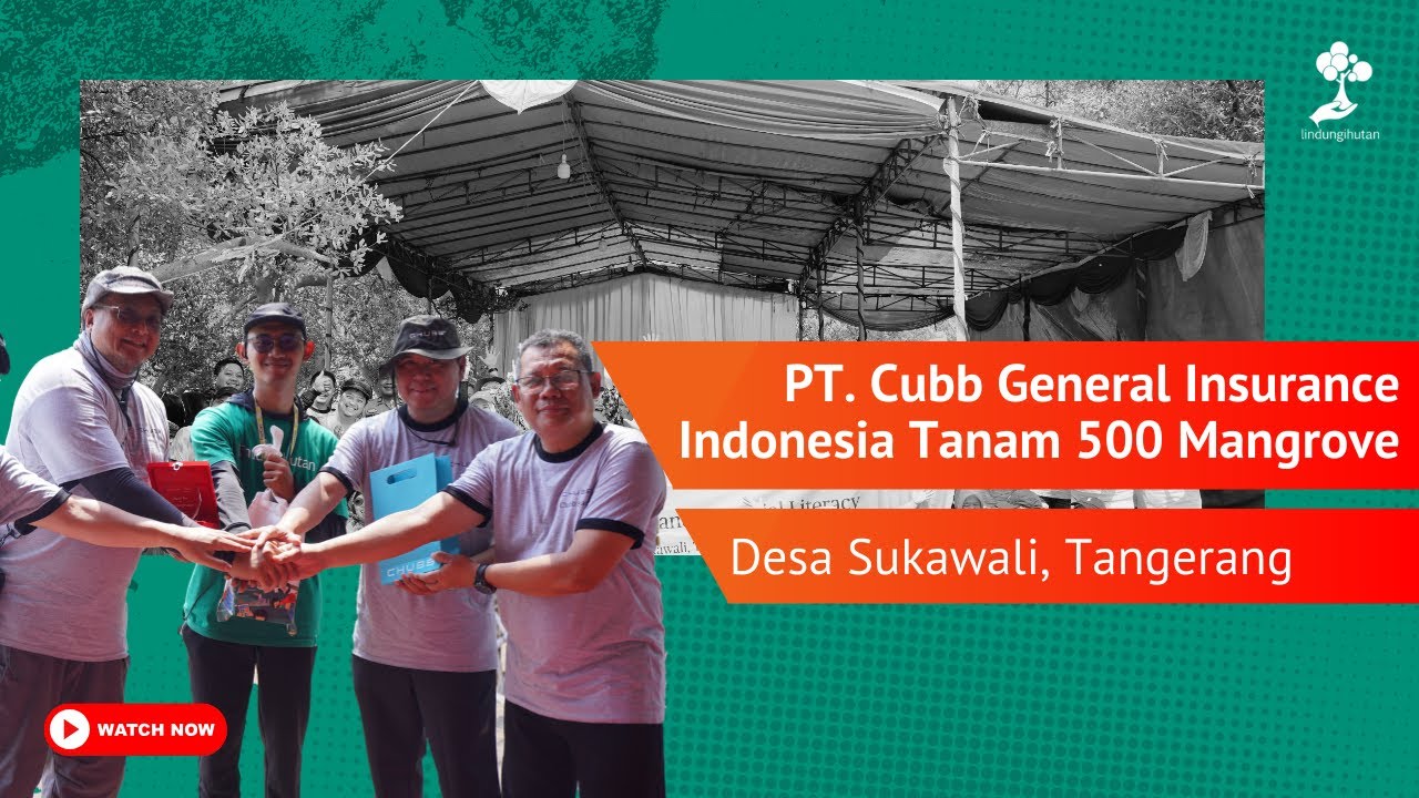 PT. Chubb General Insurance Indonesia Tanam 500 Pohon Mangrove di Desa ...