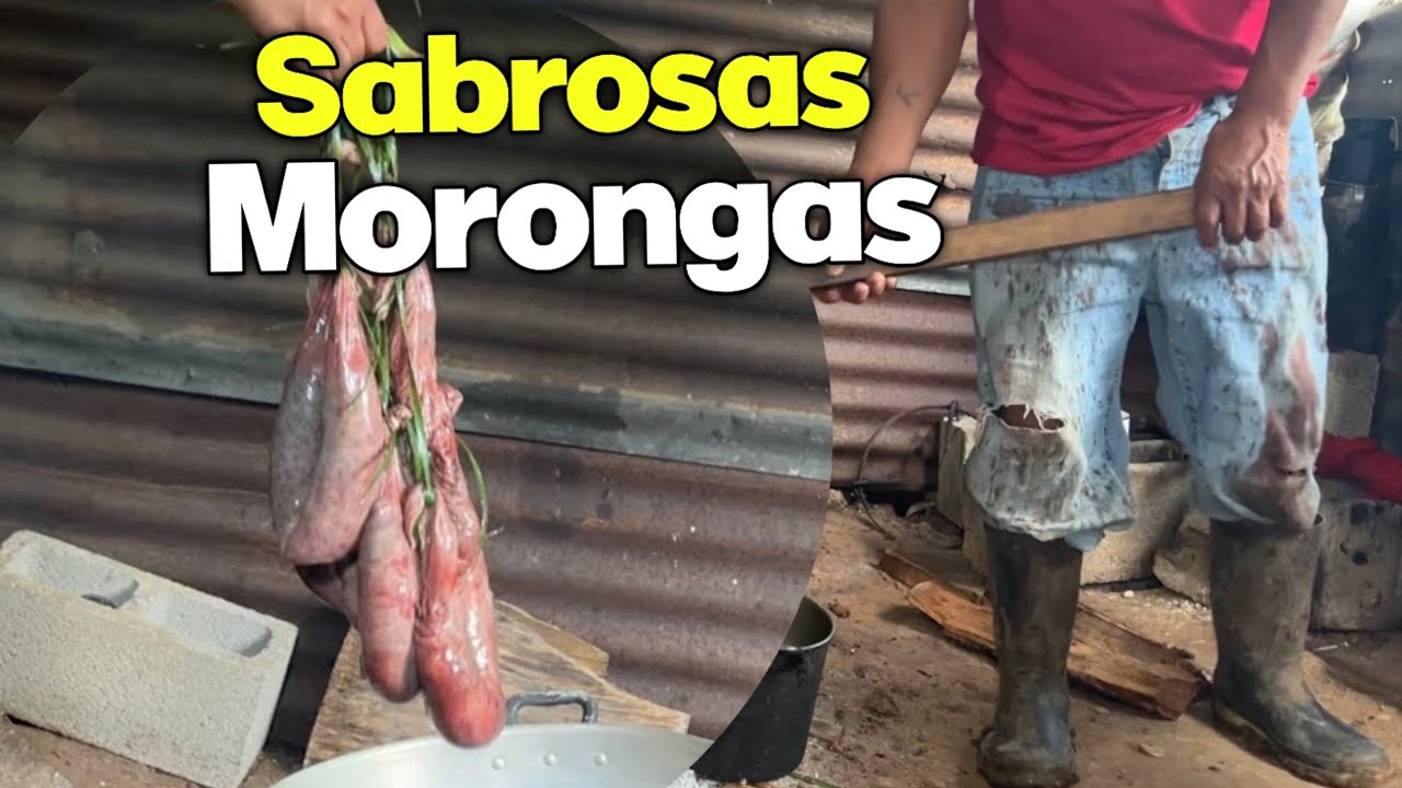 Increíble Cómo Se Hace La MORONGA o Morcilla, en GUATEMALA - YouTube