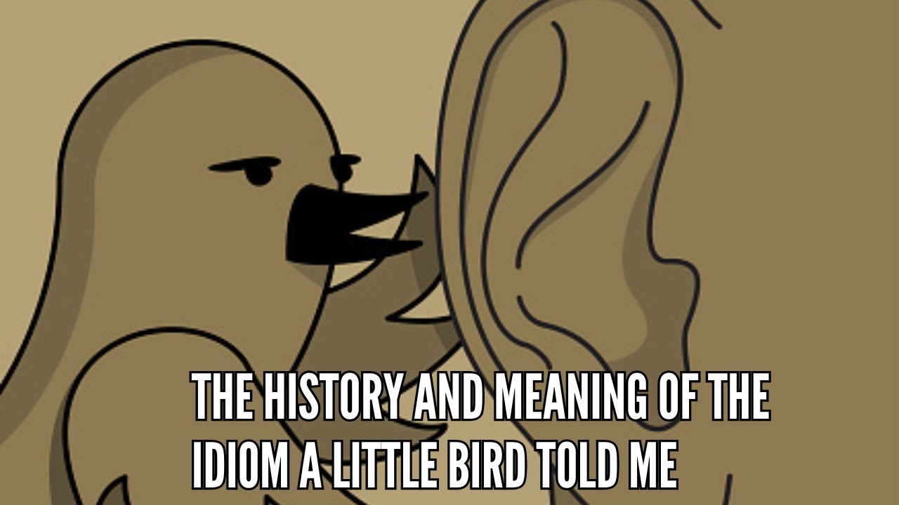 The History and Meaning of the Idiom A Little Bird Told Me - YouTube