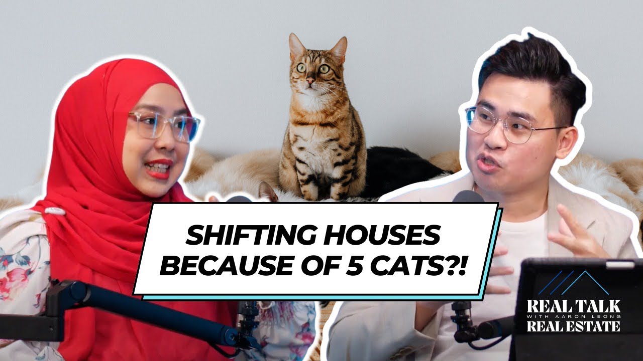 Upgrading from 3-Room to 4-Room HDB: Making Space for 5 Cats | Real ...