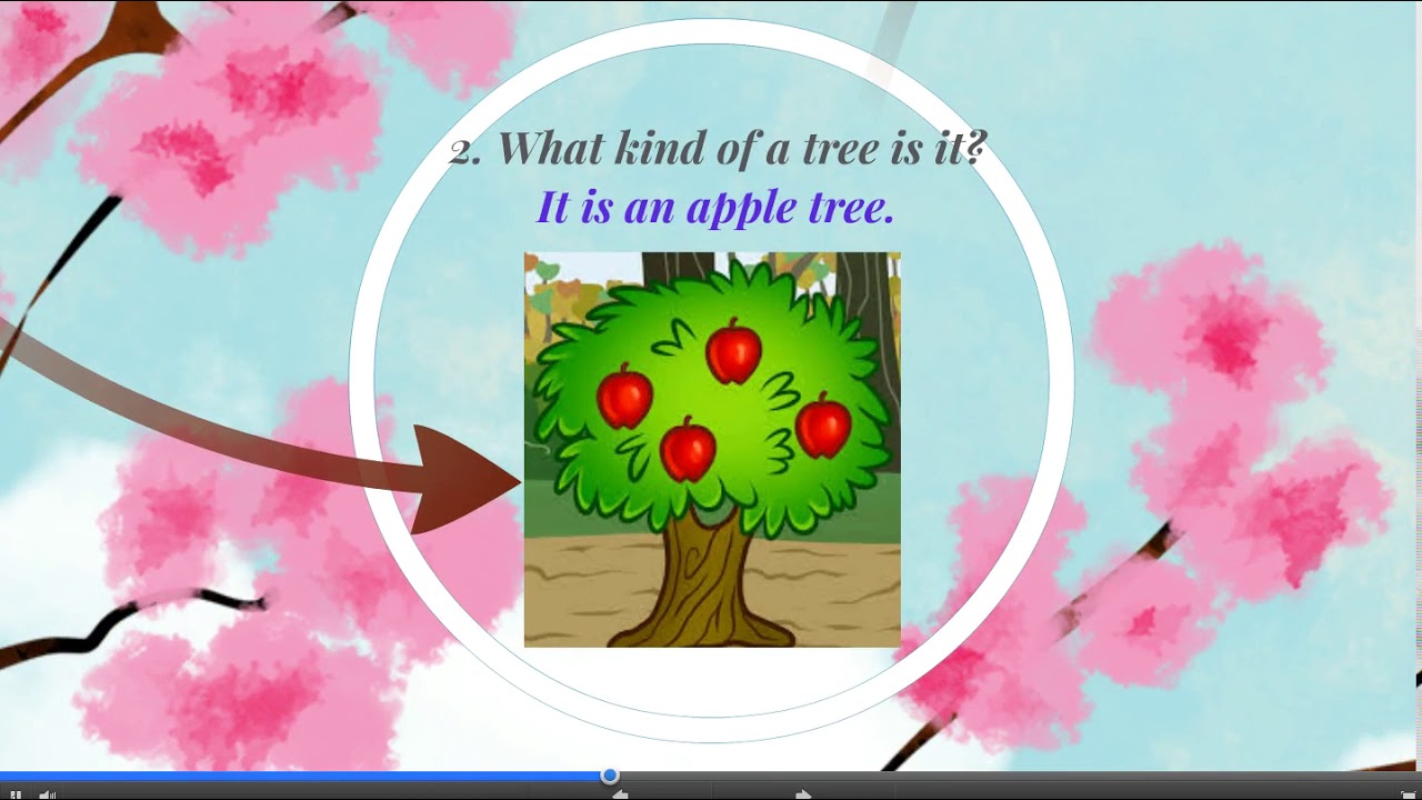 Composition "an apple tree" (Prep-II) - YouTube