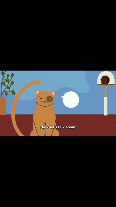 How To Use Github For Your Projectgithubversioncontrolgithubtutorialopensourcegithubproject