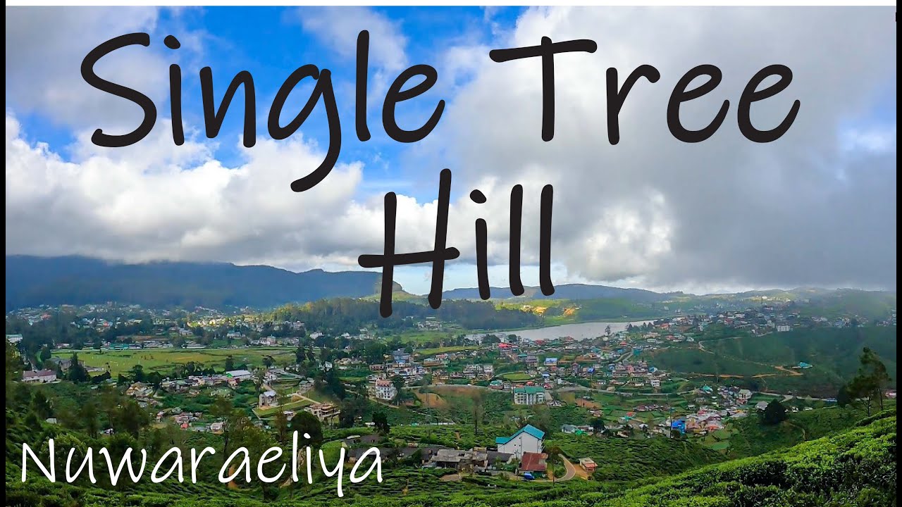 Single Tree Hill Nuwaraeliya Sri Lanka - YouTube