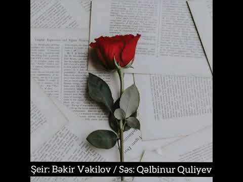 Bəkir Vəkilov -Gənclik eşqi ( Səs Qəlbinur Quliyev )